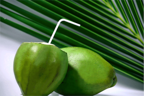 The Launch of CocoKing Coconut Water - BevNET.com