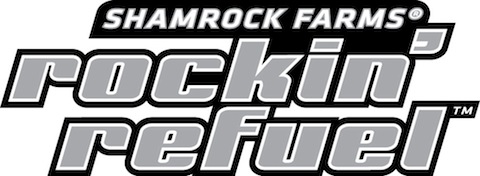 Rockin' Refuel Adds Skylar Diggins As Brand Endorser - BevNET.com