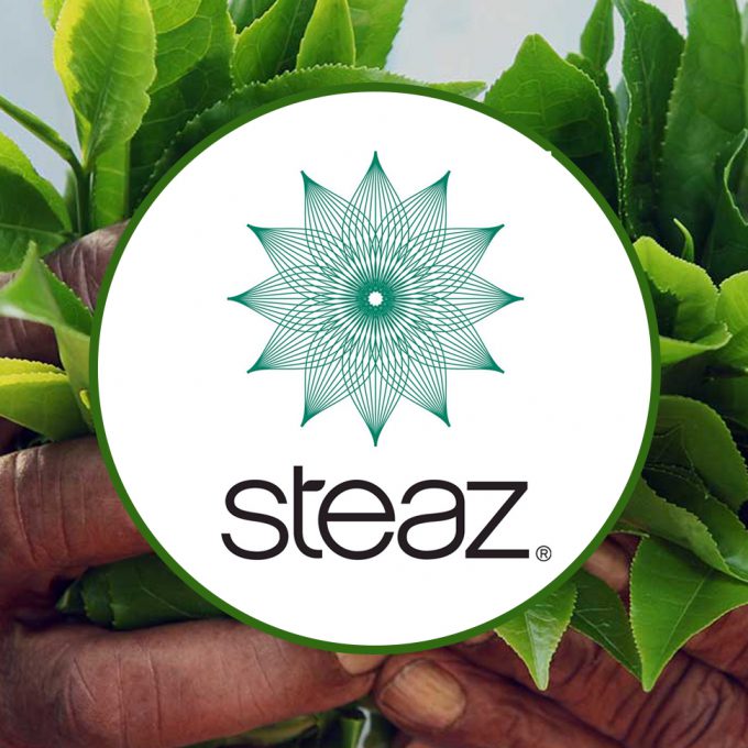 Steaz Prickly Pear | News and Press Releases | BevNET.com