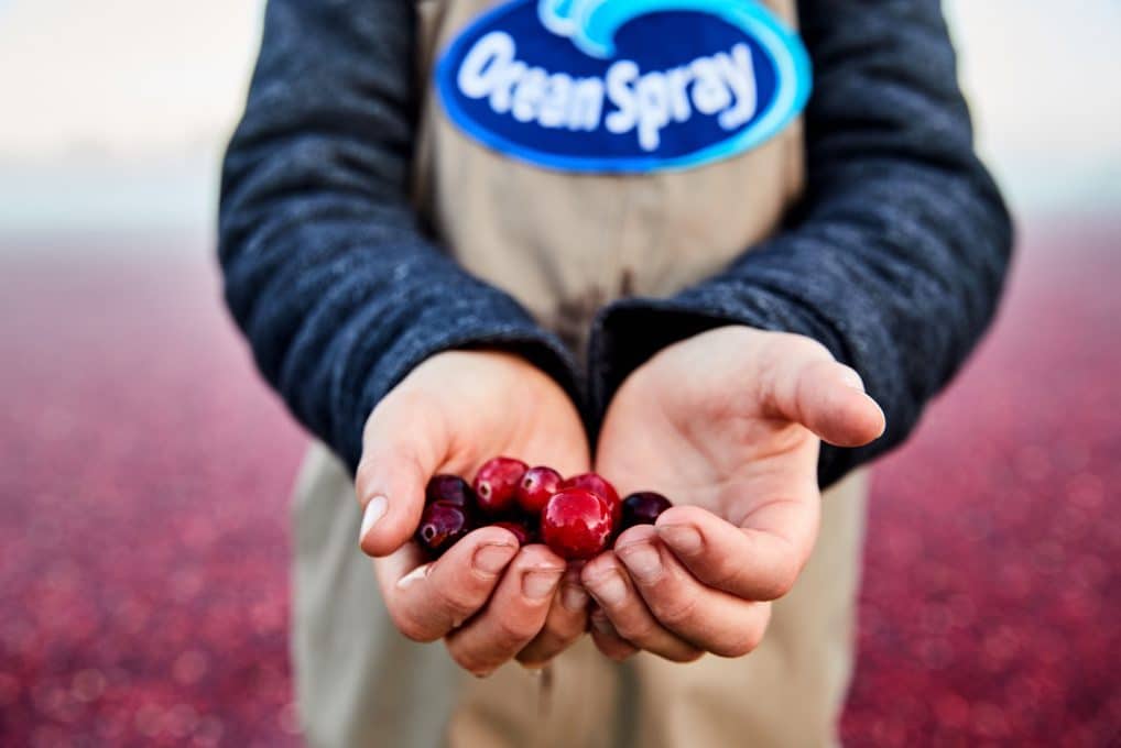 Ocean Spray Makes Commitment to Sustainably Farm Its Cranberries ...