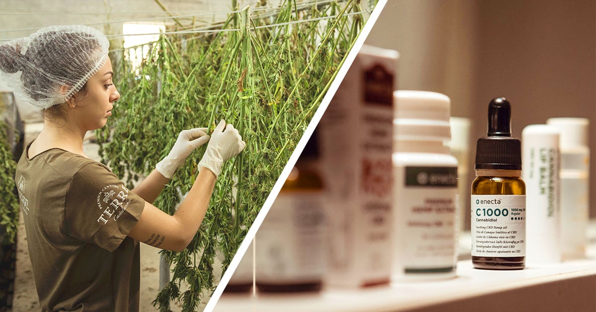 In California, CBD Brands Await Legislative Relief - BevNET.com