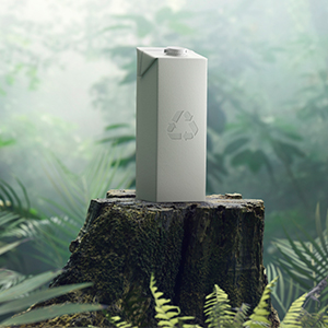 It's Time to Think Differently: Developing the Future Sustainable ...