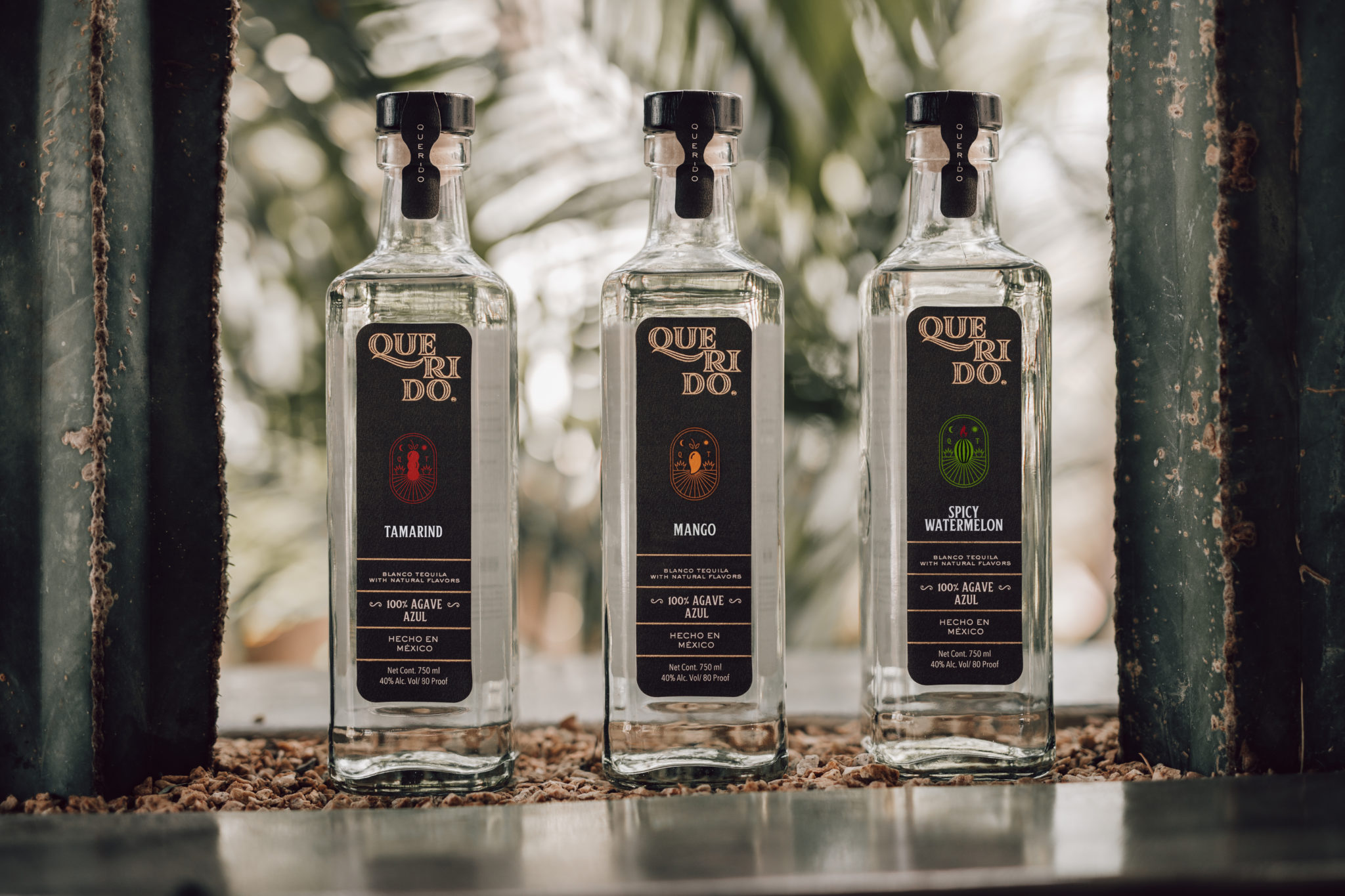 Querido Tequila Picked Up by Green Light Distribution in Texas - BevNET.com