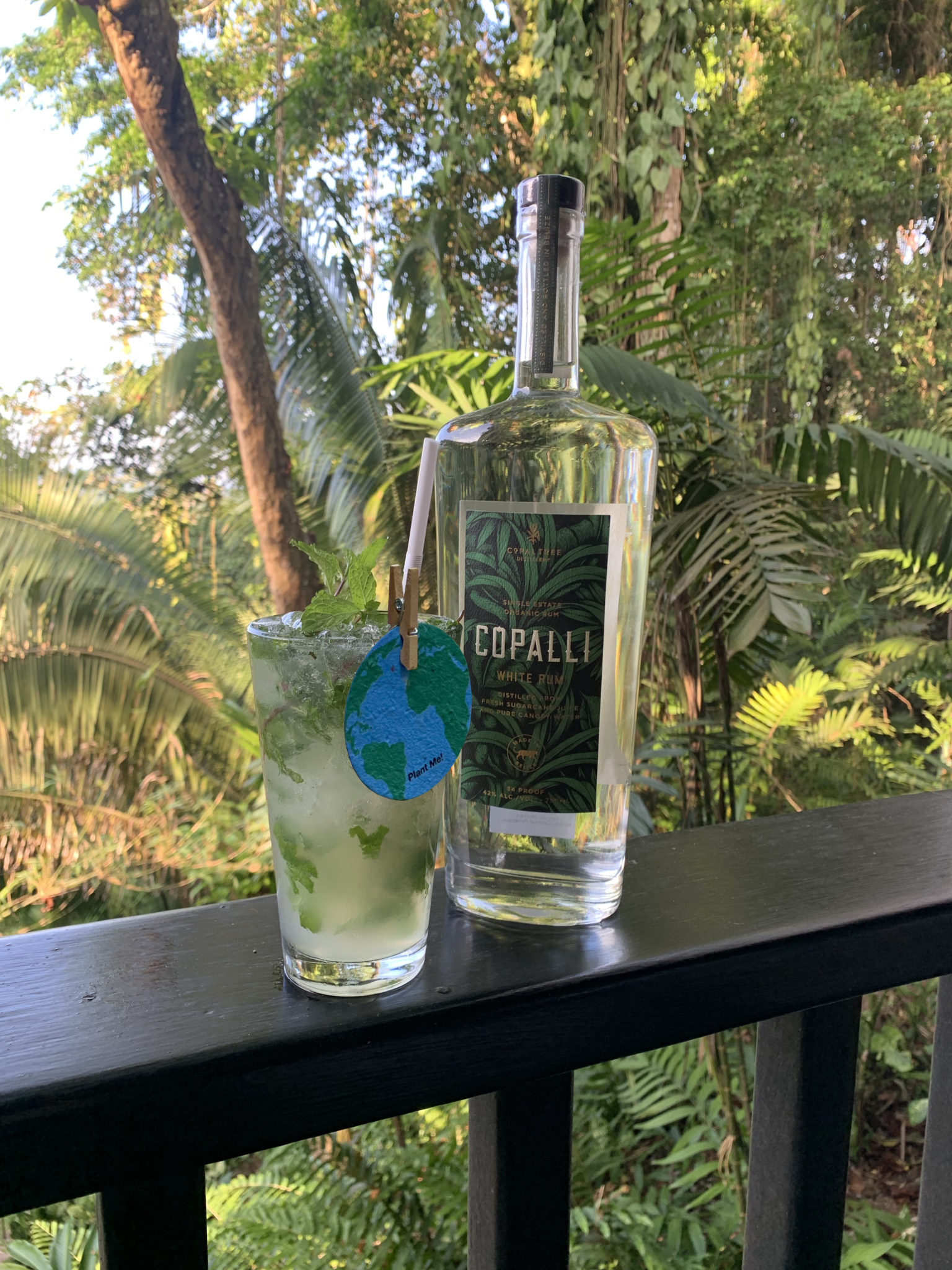 Copalli Rum Continues Cocktails For A Cause Campaign in Honor of World ...
